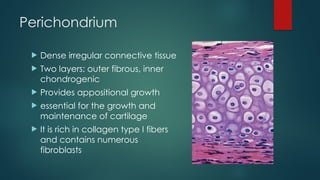 Histology of Cartilage Tissue for upload.pptx