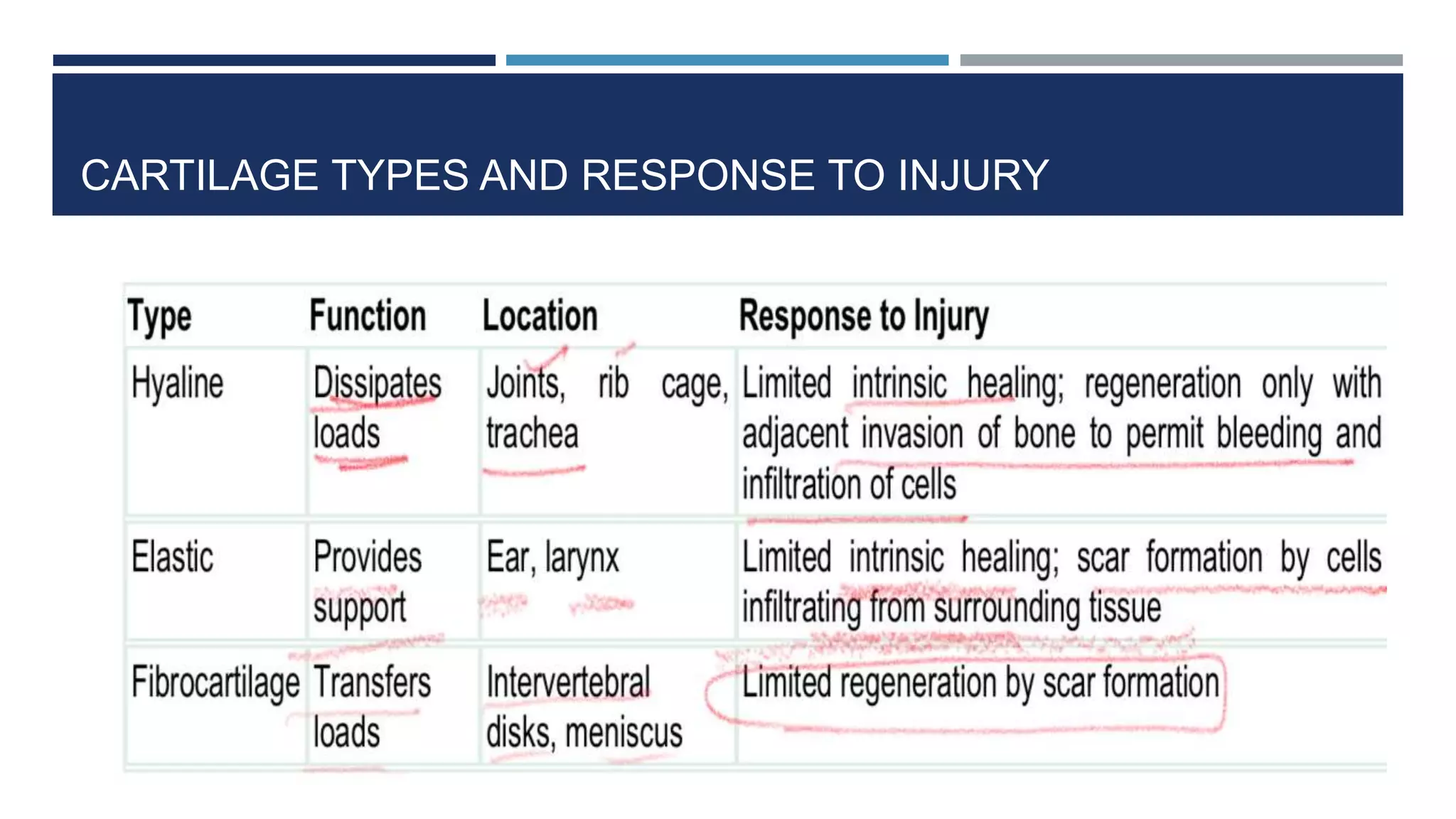 cartilage graft and healing.pptx
