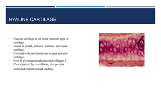 cartilage graft and healing.pptx