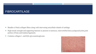 cartilage graft and healing.pptx