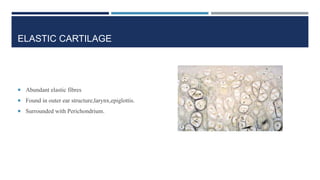 cartilage graft and healing.pptx