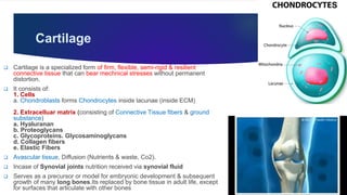 Cartilage Histology by Dr. Rabia I. Gandapore.pptx