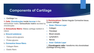 Cartilage Histology by Dr. Rabia I. Gandapore.pptx