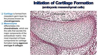 Cartilage Histology by Dr. Rabia I. Gandapore.pptx