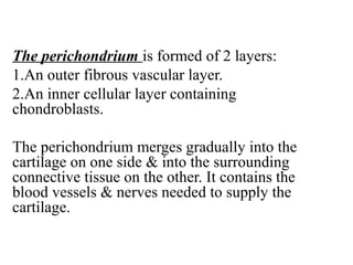 Cartilage lecture | PPT