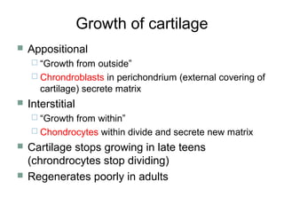 Cartilage lecture | PPT | Bone and Joint Conditions | Diseases and ...