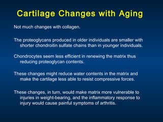 Cartilage lecture | PPT | Bone and Joint Conditions | Diseases and ...