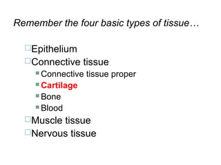 Cartilage lecture | PPT
