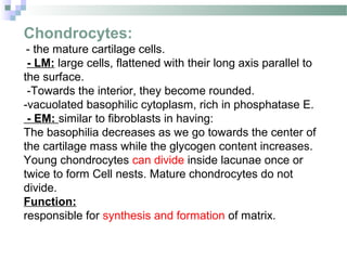 Cartilage lecture | PPT