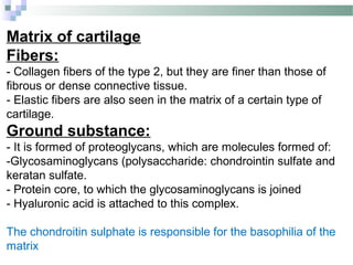 Cartilage lecture | PPT