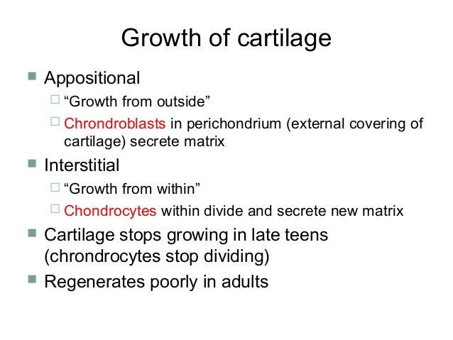 Cartilage lecture