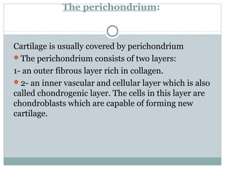 Cartilage pharmacy | PPT