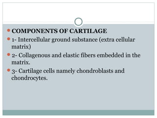 Cartilage pharmacy | PPT