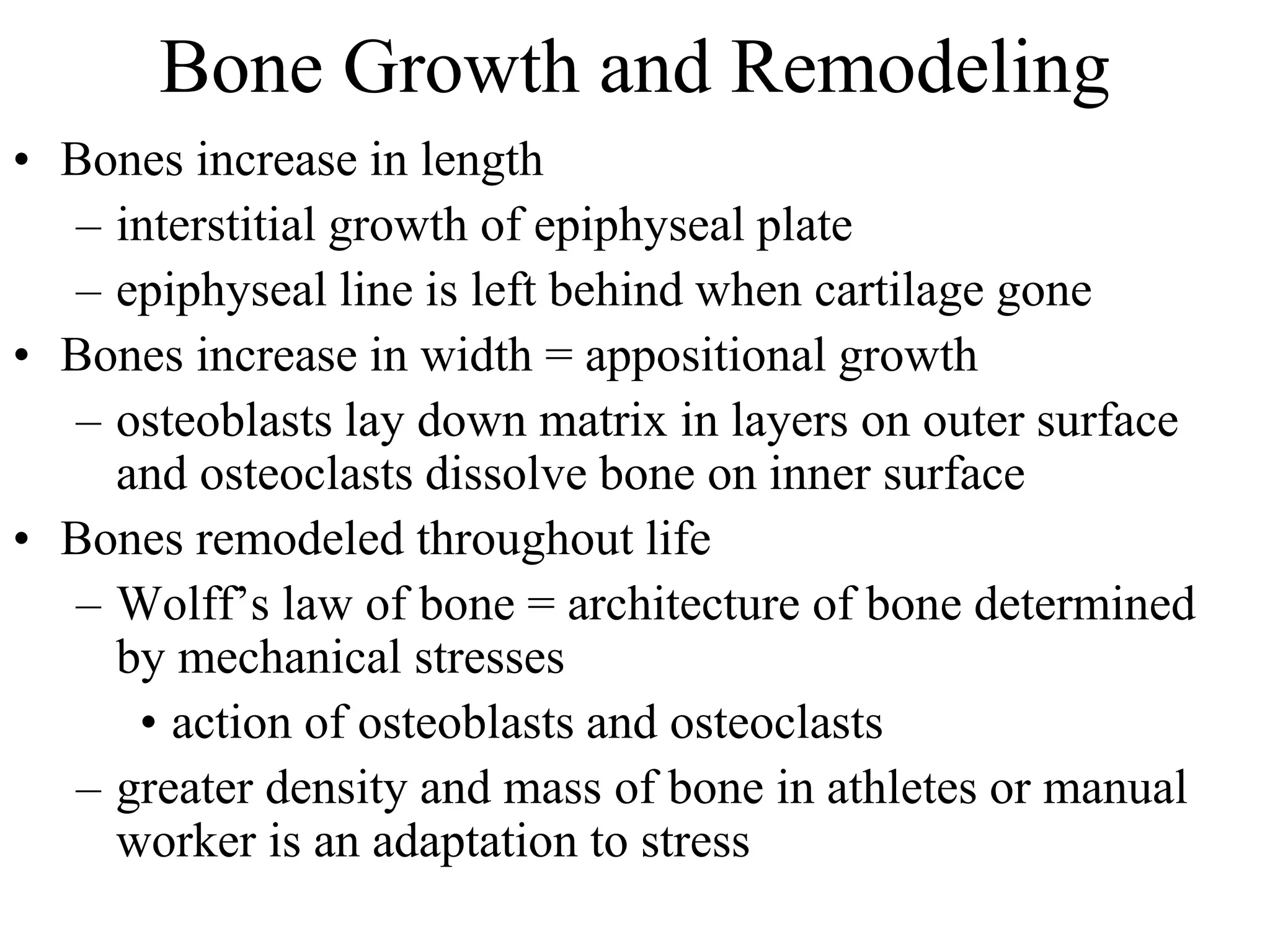cartilage presentation.ppt