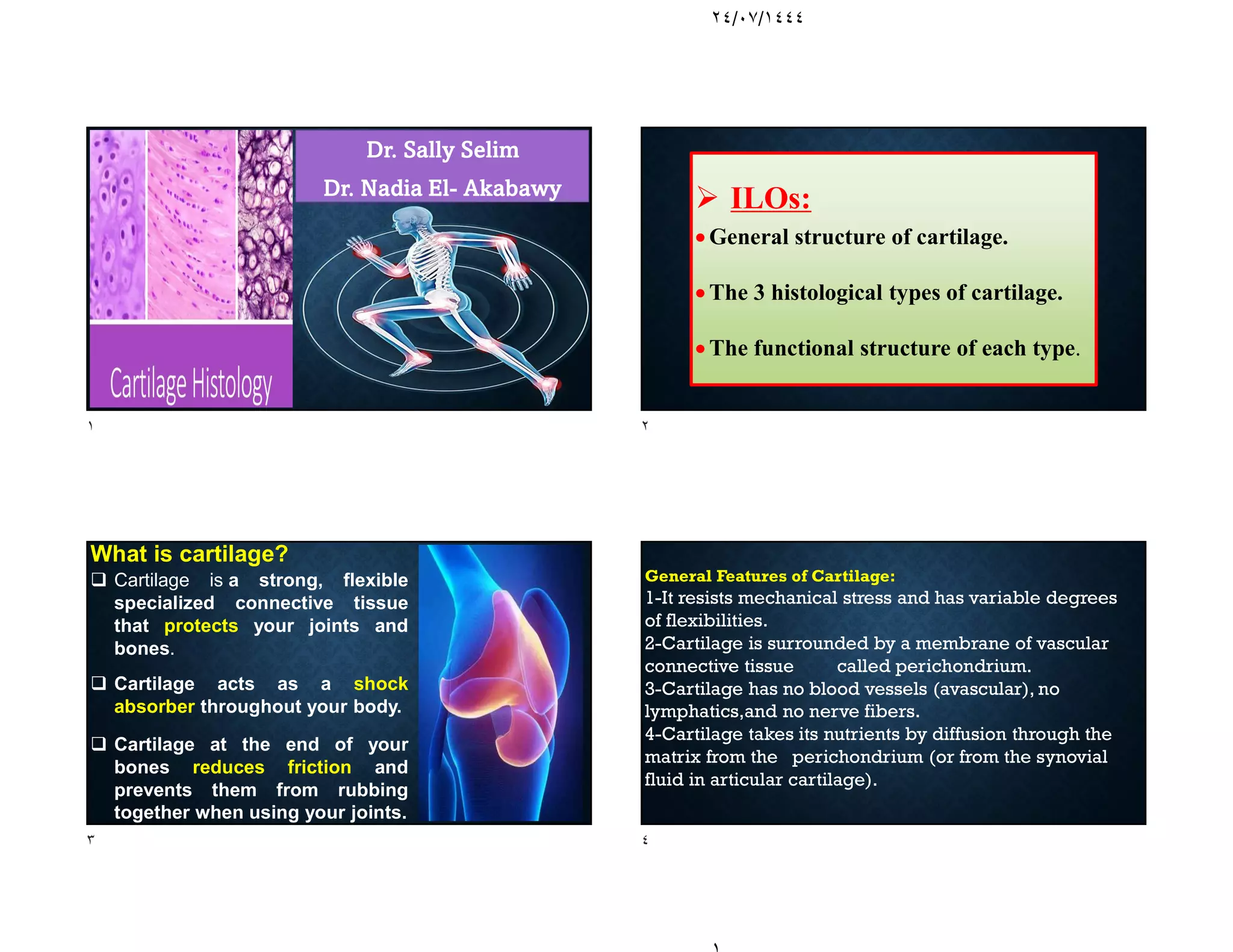 Cartilage presentation pdf.pdf