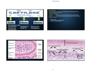 Cartilage presentation pdf.pdf