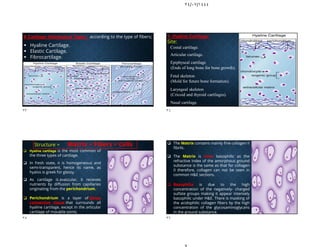 Cartilage presentation pdf.pdf