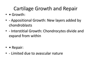 Cartilage_Presentation_Updated obout body.pdf