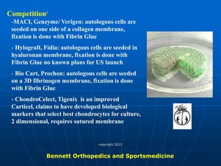 Cartilage Regeneration Sarasota | PDF | Physical Therapy | Wellness