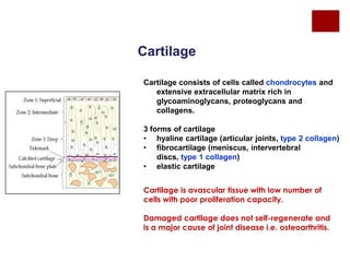 Cartilage Repair using Stem cell & Orthobiologics | PPTX