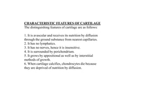 CARTILAGES.pptx