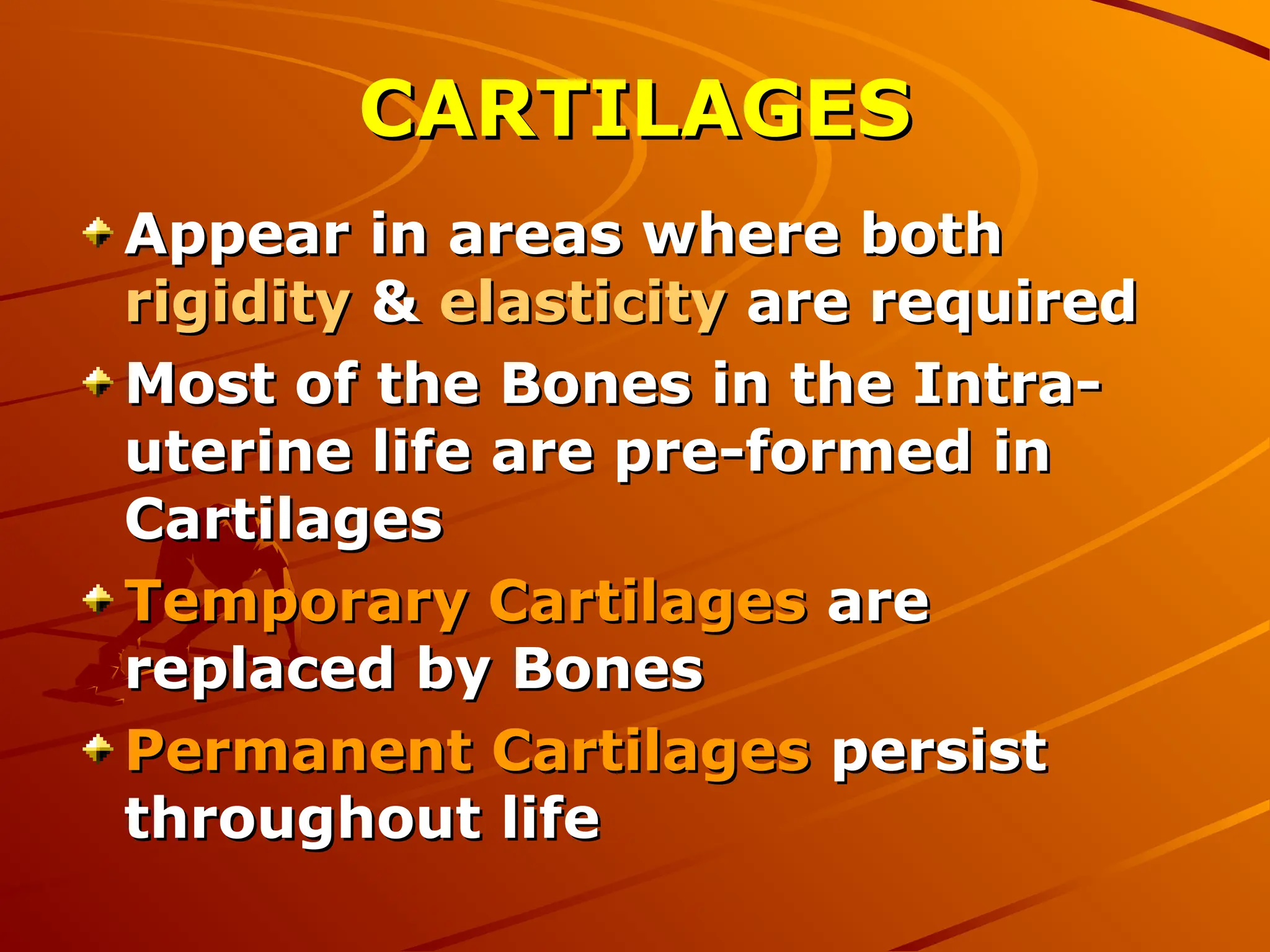 Cartilages Appear in areas where both rigidity & elasticity are ...