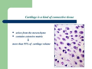 Cartilages and bones | PPT