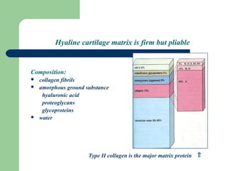 Cartilages and bones | PPT