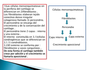 Resumen de tejido cartilaginoso | PPTX