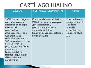 Resumen de tejido cartilaginoso | PPTX