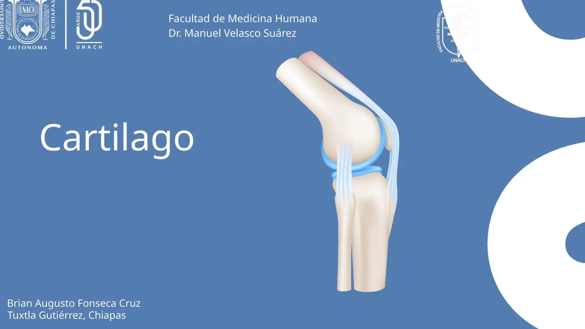 diapositivas de anatomia, histologia y crecimiento del cartílago.pptx