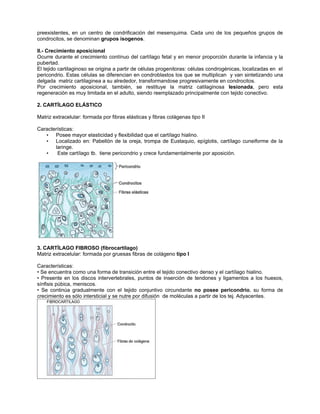 Cartilago y hueso | DOC