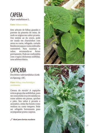 Cartilha-Guia-Prático-de-PANC-Plantas-Alimenticias-Nao-Convencionais (1 ...