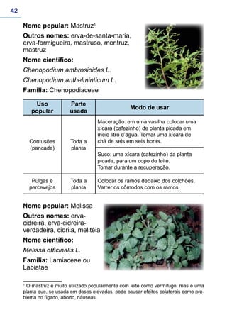 Cartilha para Produção de Plantas Medicinais (EMATER-DF).pdf