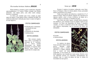 Cartilha "Plantas Medicinais: da tradição à comprovação" | PDF