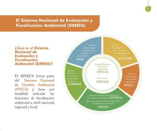 cartilla-abc-fiscalizacion-ambiental.pdf