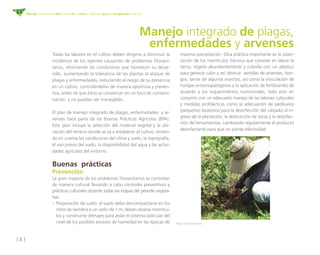 Cartilla mora-ica-baja-jun-6 | PPT