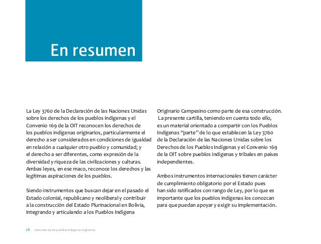 Ley No 3760 Declaración De Las Naciones Unidas Sobre Los Derechos De
