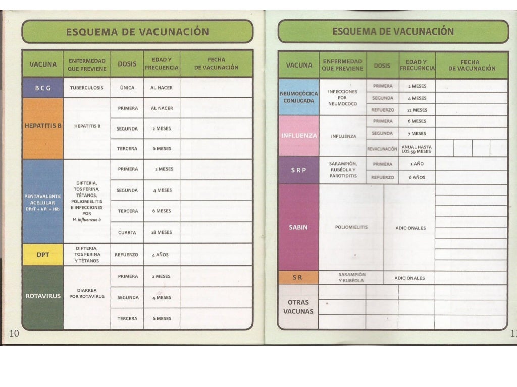 Cartilla De Vacunacion Dibujo Cartilla De Vacunacion Dibujo