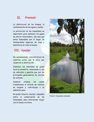 Cartilla didáctica: Humedal Jaboque (educación ambiental) | PDF