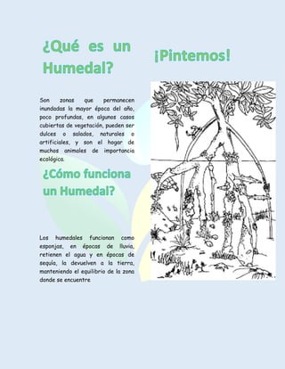 Cartilla didáctica: Humedal Jaboque (educación ambiental) | PDF