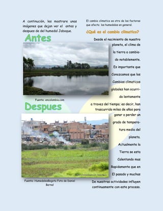Cartilla didáctica: Humedal Jaboque (educación ambiental) | PDF