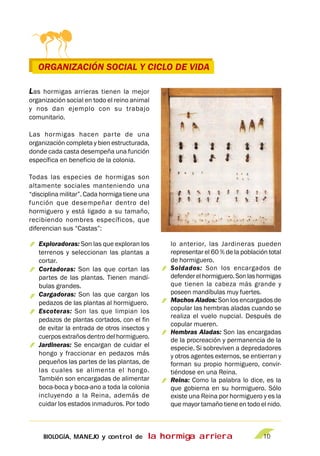 Cartilla hormiga arriera_en_pdf | PDF