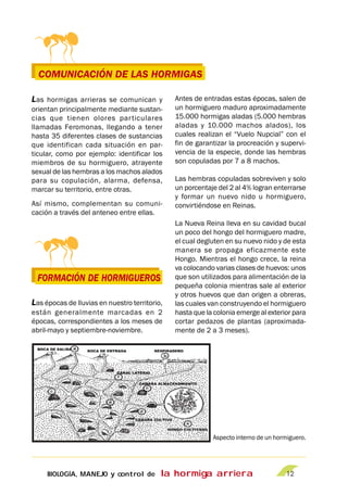 Cartilla hormiga arriera_en_pdf | PDF
