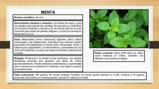 CARTILLA COLEGIO HUERTA ESCOLAR IED RBJ.PDF
