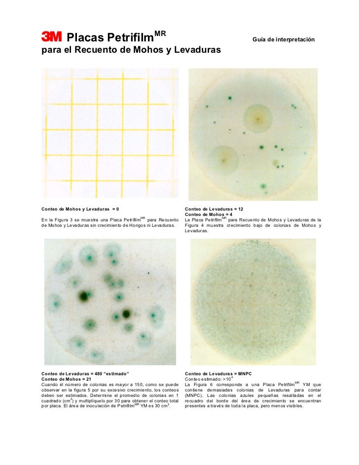 Cartilla mohos y levadura petrifilm
