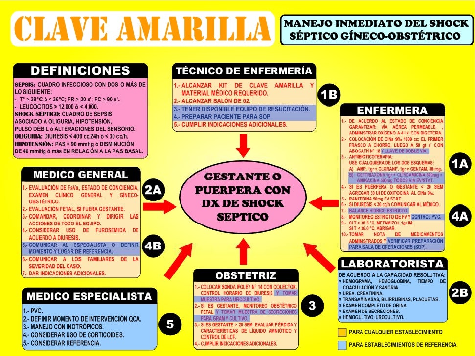 Cartillas Claves Obstetricas Red Arequipa Caylloma