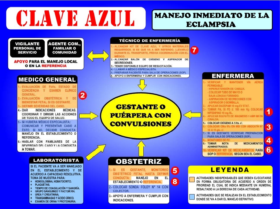 My Clips by Cecilia Ibañez