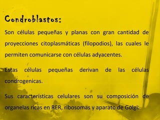 Morfología cartilago | PPT