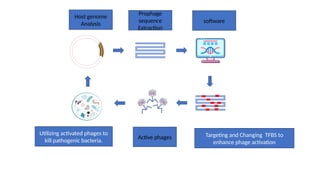 About how to draw a new flow chart or diagram | PPTX